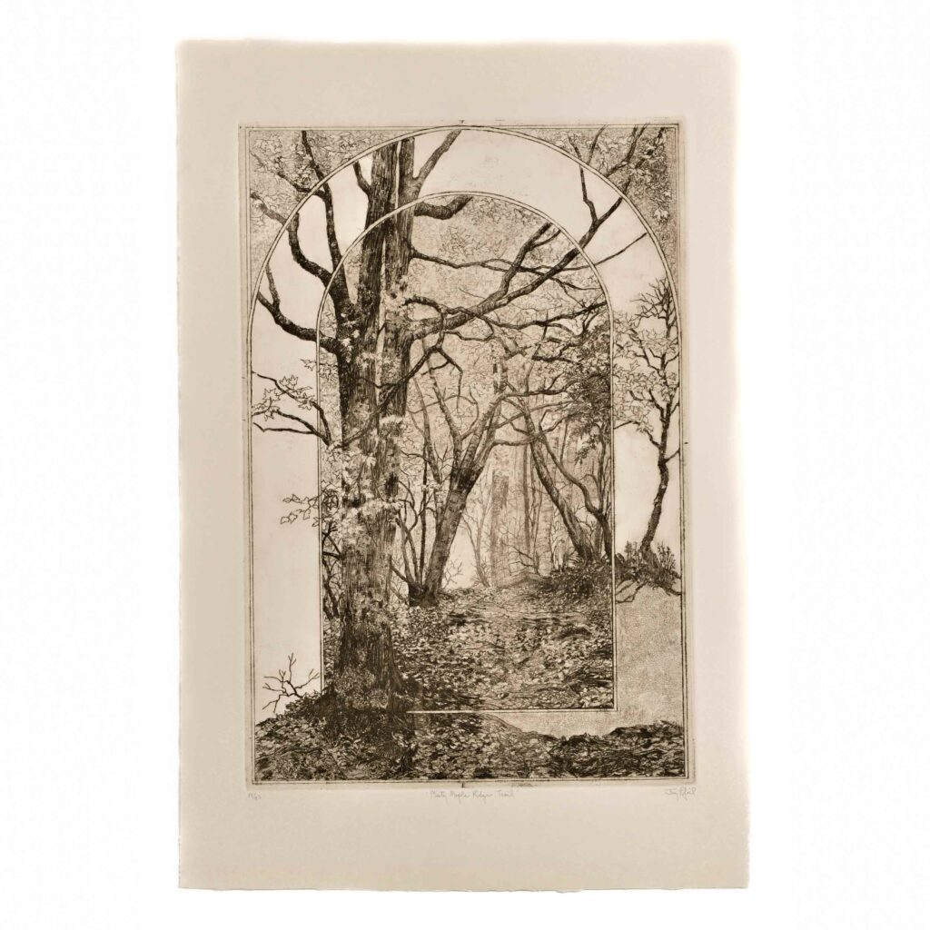 ‘Misty Maple Ridge Trail’ Etching – Southern Highland Craft Guild